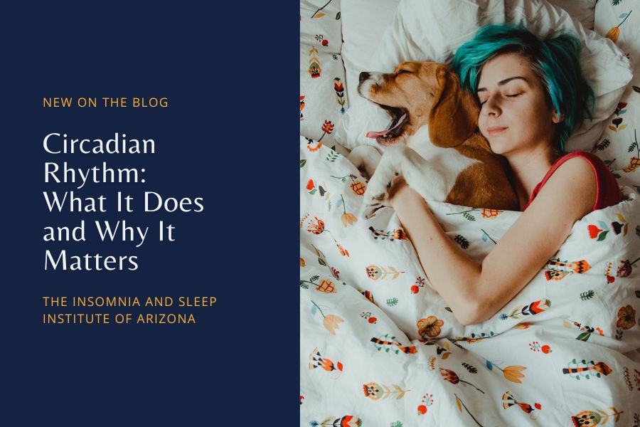 Circadian Rhythm: What It Does and Why It Matters